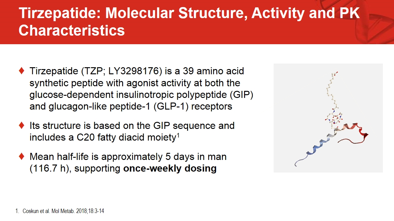 평생 숙제 다이어트를 더 쉽게 해줄 비만 신약(틸제파티드 tirzepatide; 마운자로(mounjaro)) 3상 임상결과(일산 ...