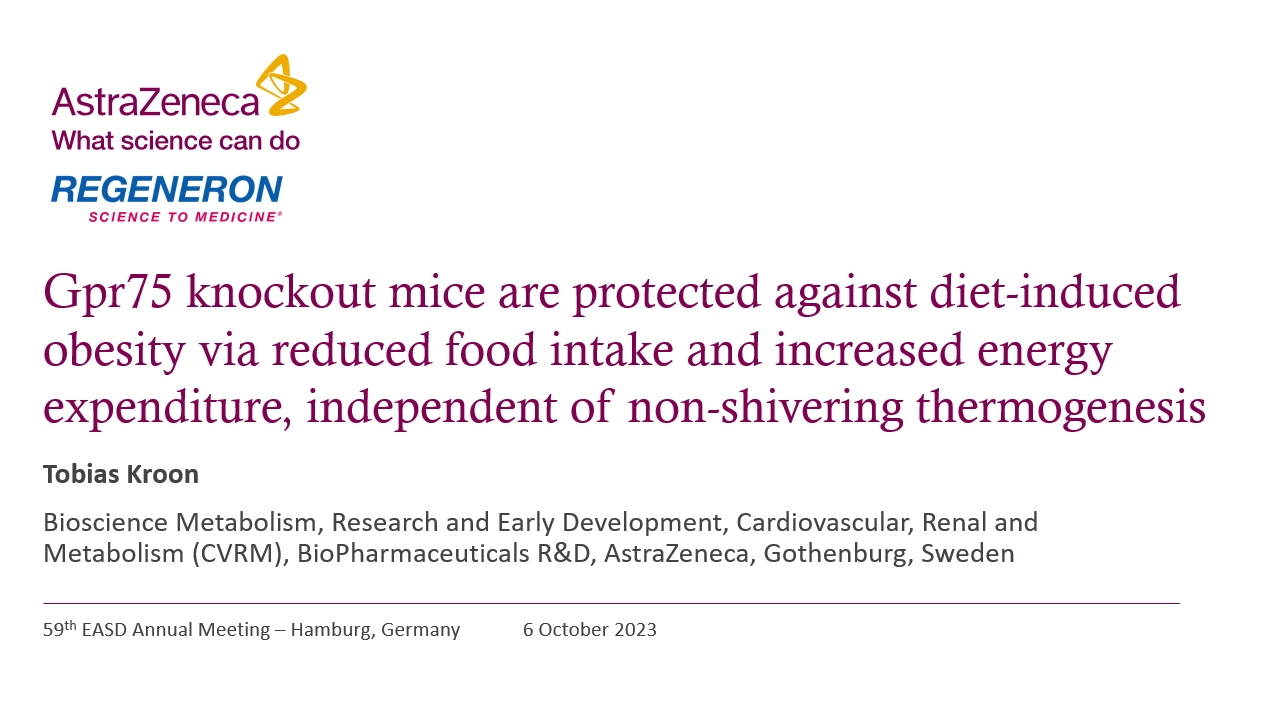 obese knockout mouse